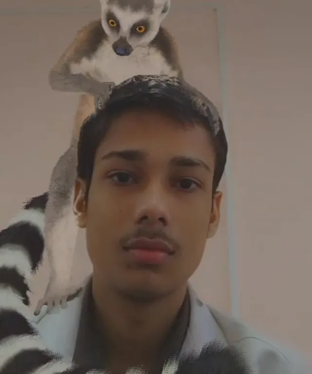 A Man With a Snapchat Filter of... | Video by StarQuaint