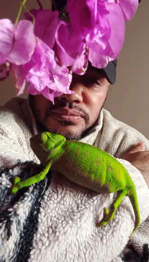 A Man Holding A Green Gecko In... | Video by WhizStrategist